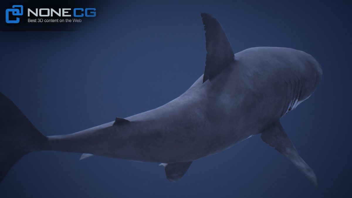 3D White Shark Unity » Download and buy 3D profestionnal models on NoneCG.com