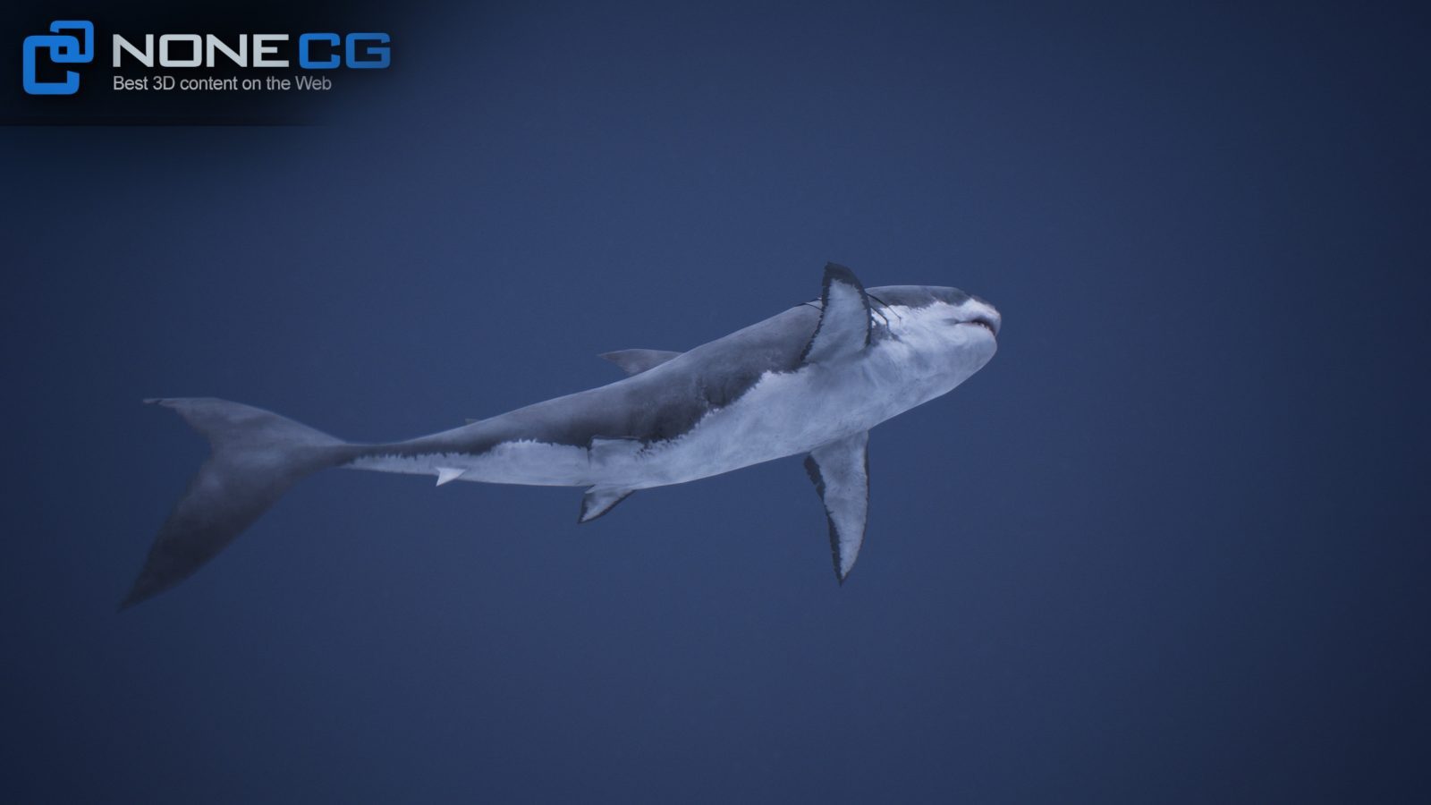 3D White Shark Unity » Download and buy 3D profestionnal models on ...