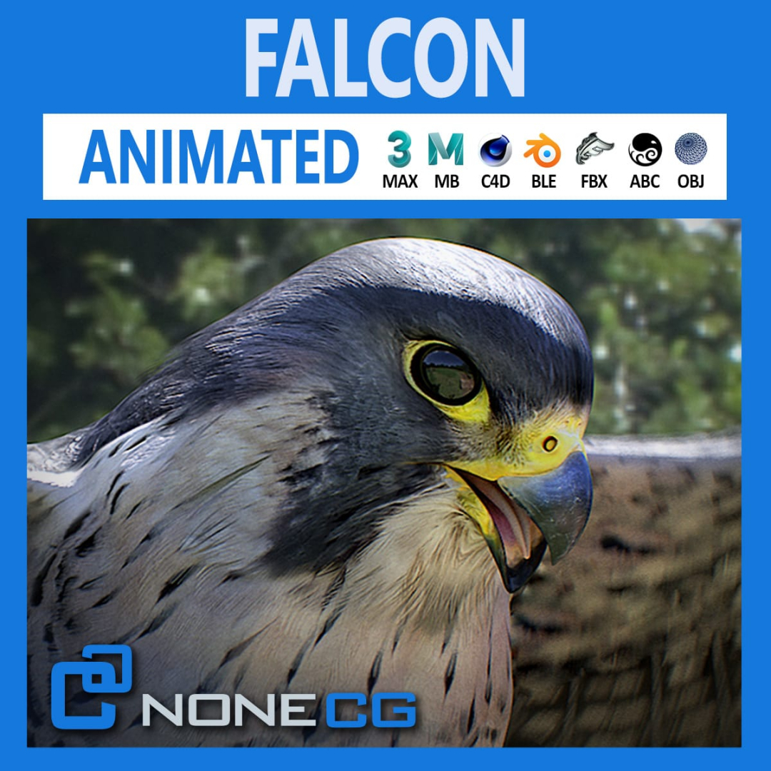3D Animated Falcon » Download and buy PRO 3D models on NoneCG.com
