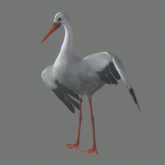 3D Pack - Birds Animated » Download and buy PRO 3D models on NoneCG.com