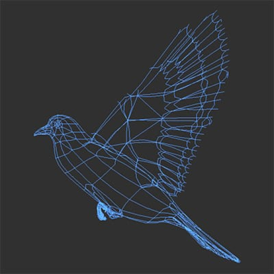 3D Pack - Farm Birds Animated » Download and buy PRO 3D models on ...